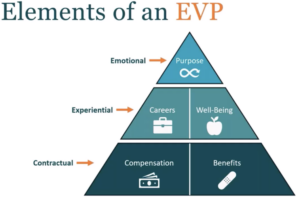 How to Build an Employee Value Proposition (EVP) to Attract & Retain ...